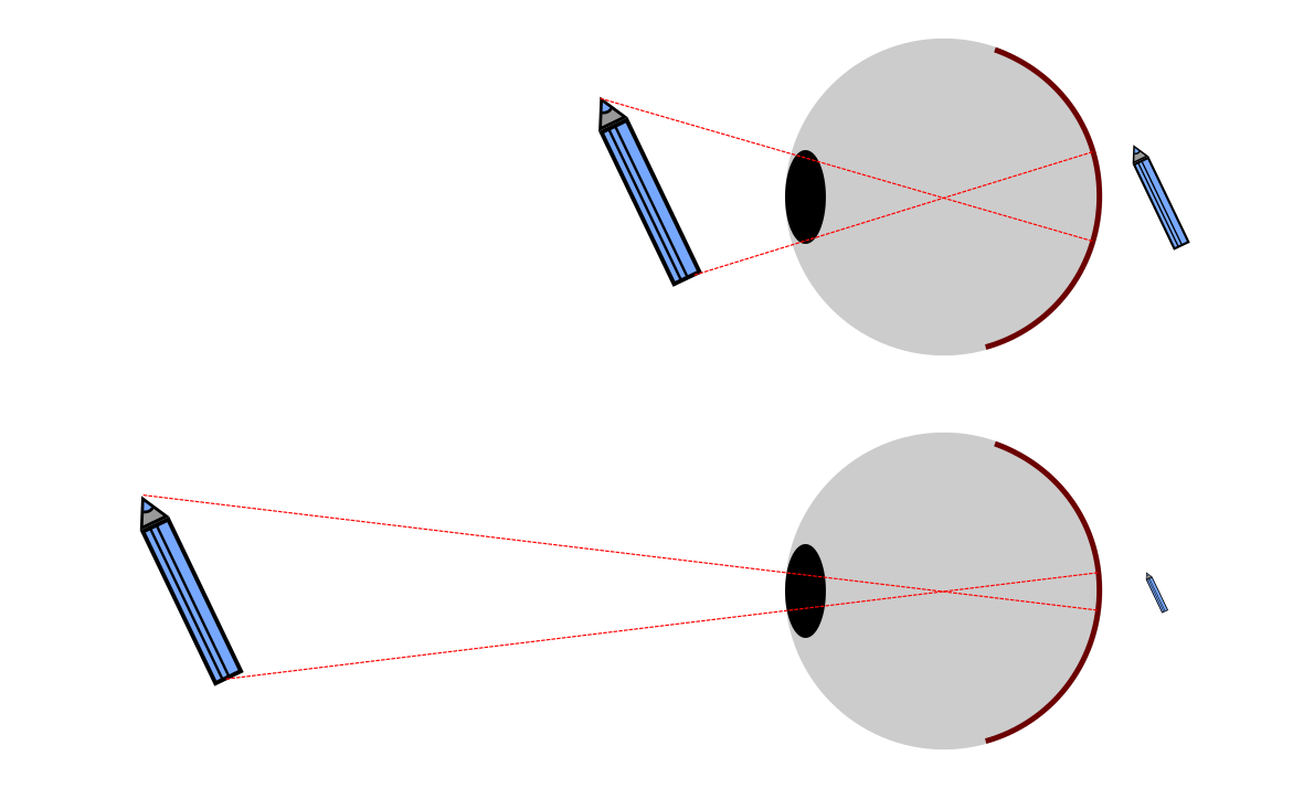Eyes, sight and sensory perception – Informujte.cz